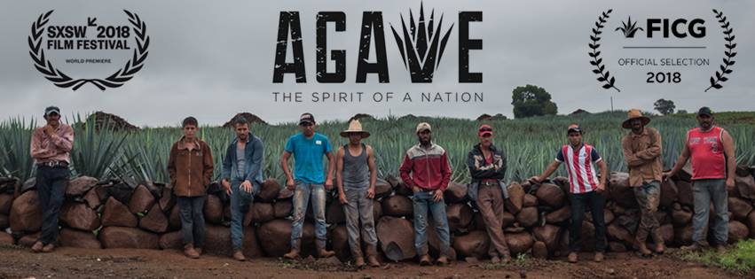 Agave - Spirit of a Nation