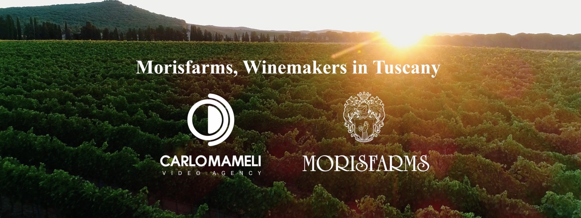Morisfarms, winemakers in Tuscany